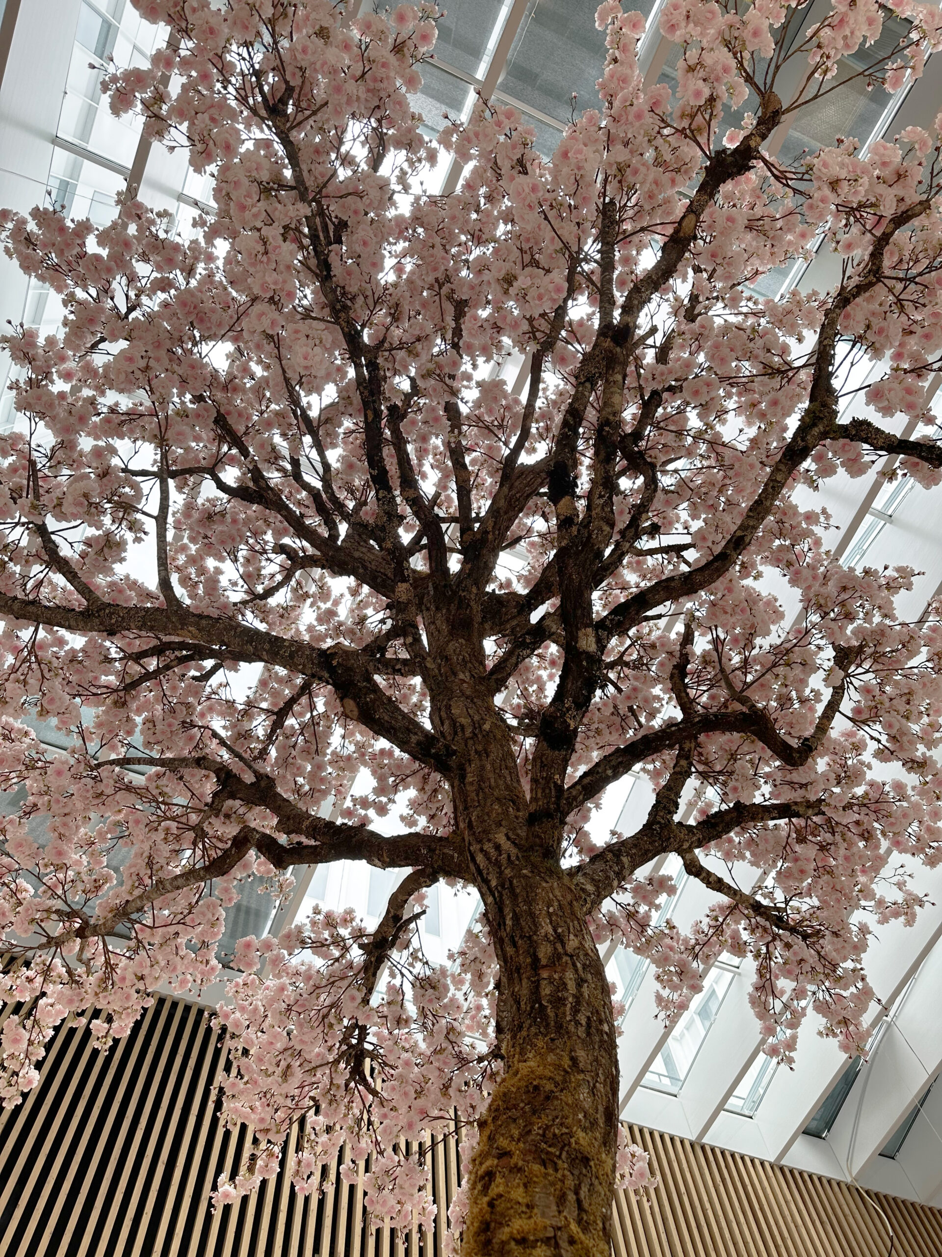 Nous découvrir | Fond d'action du CHU de Reims